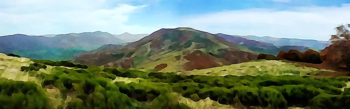 De Velzic à Saint-Julien-de-Jordanne - Randonnée